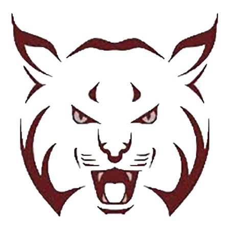 Boys Varsity Hockey Schedule | Shaler Area High School