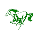 Jenison High School - Wildcats Official Athletic Website