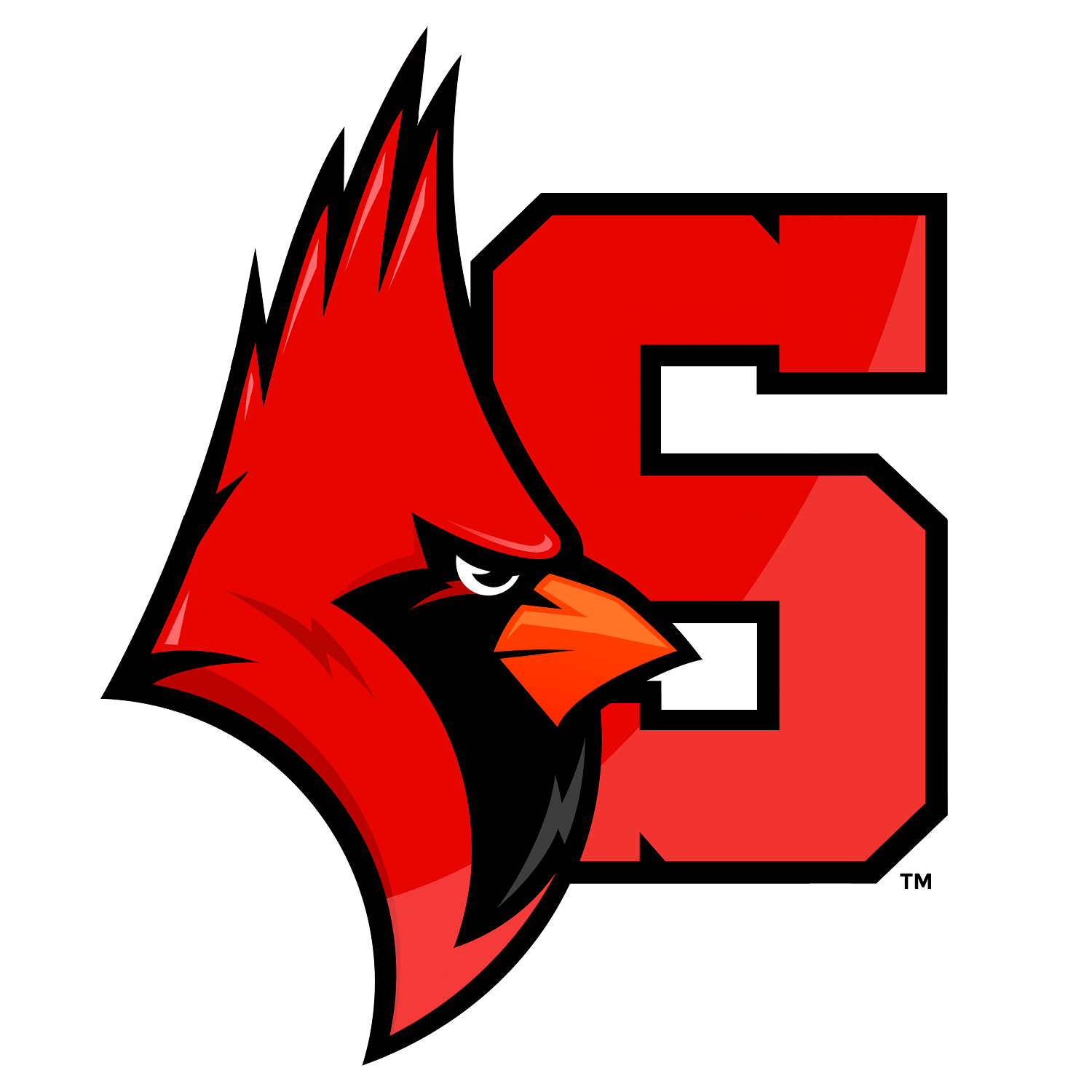 Boys Junior Varsity Basketball Schedule | Southeast High School