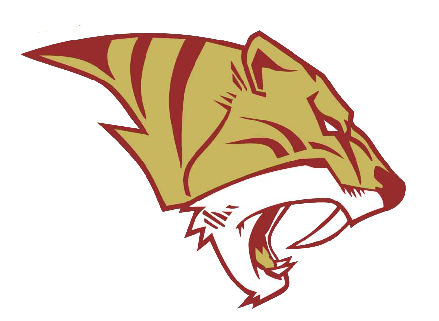 Boys Varsity Football Schedule | Northview High School